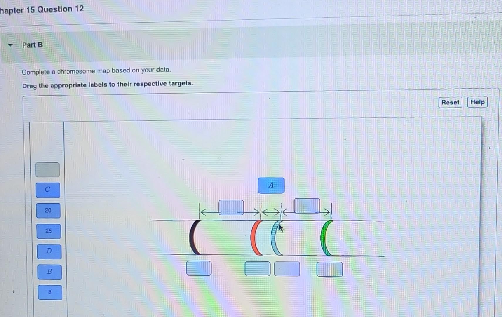 Solved Complete a chromosome map based on your | Chegg.com