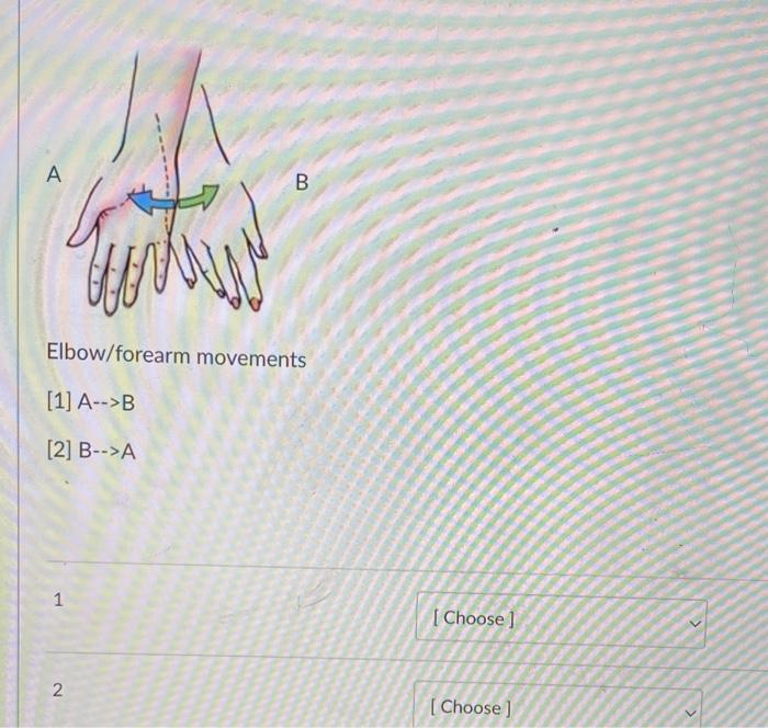 Elbow/forearm movements [1] A⋯B [2] B−>AFinger | Chegg.com