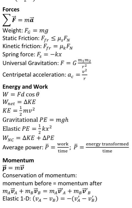 Solved A squirrel (M=340 g) hangs on motionlessly from the | Chegg.com