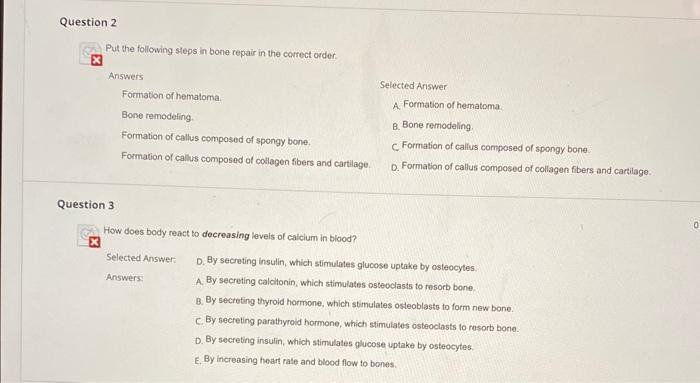 Solved Put the following steps in bone repair in the conrect | Chegg.com