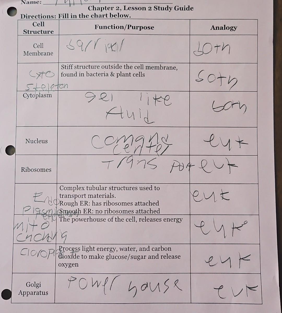 Solved Chapter 2, Lesson 2 Study Guide Directions: Fill in | Chegg.com