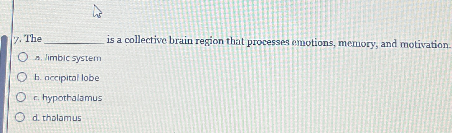 Solved The ﻿is a collective brain region that processes | Chegg.com