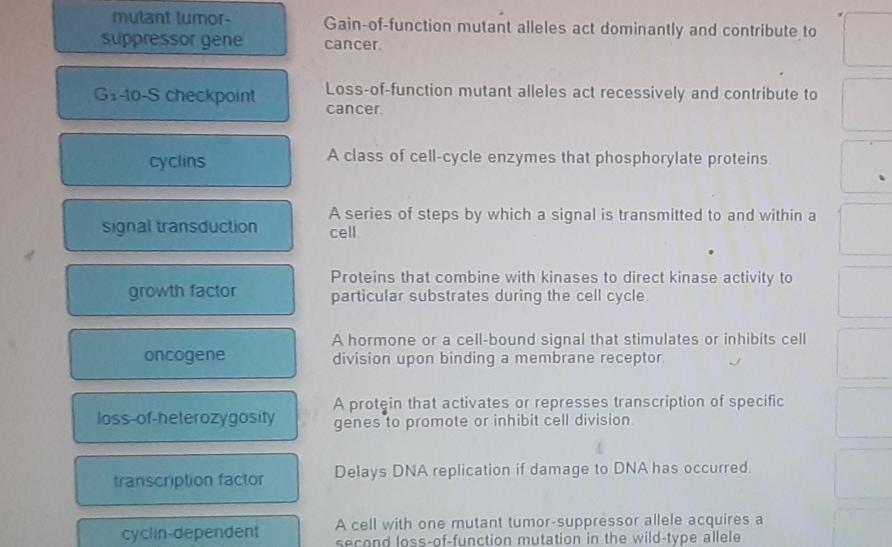 Solved mutant tumor- suppressor gene Gain-of-function mutant | Chegg.com