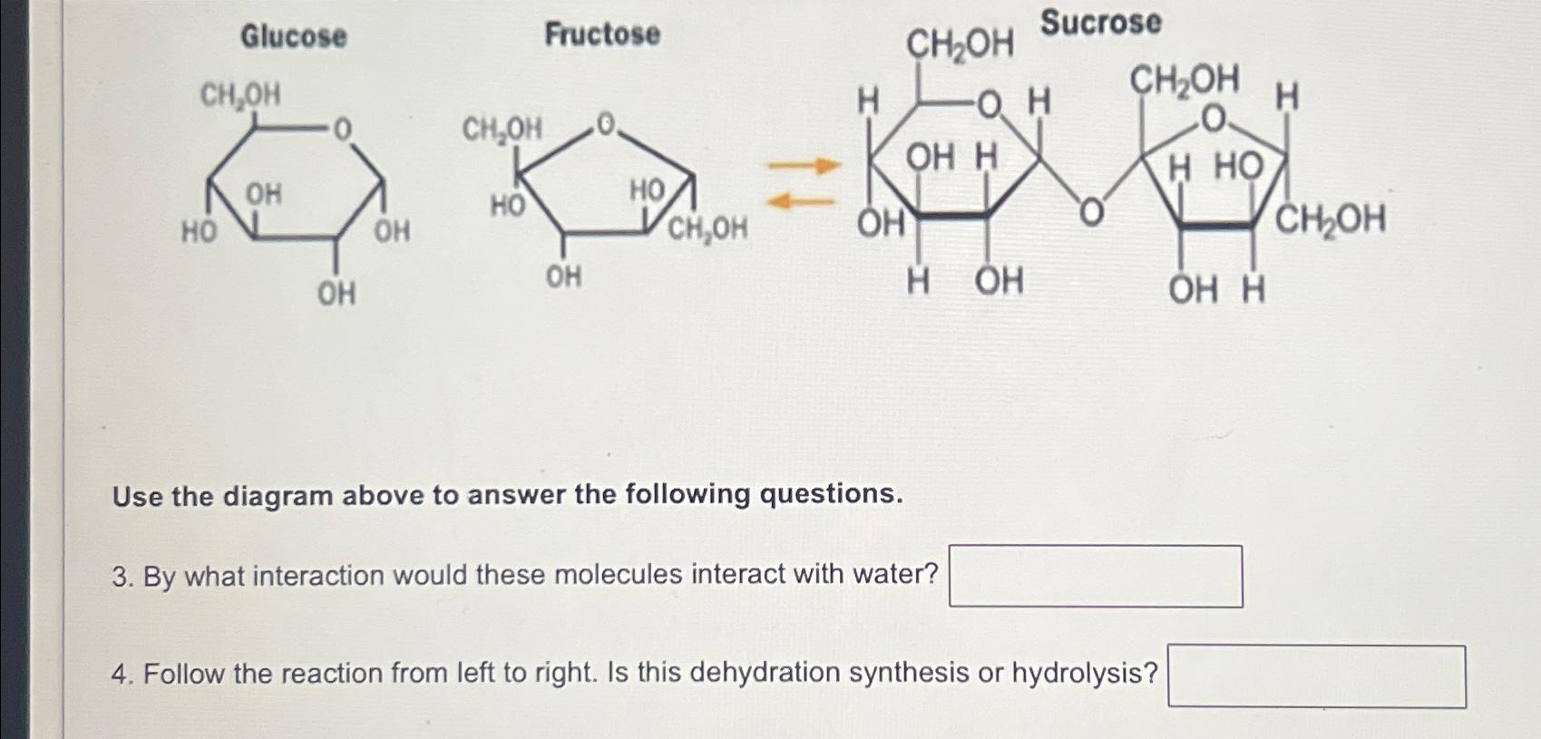 Solved GlucoseFructoseSucroseUse the diagram above to answer | Chegg.com