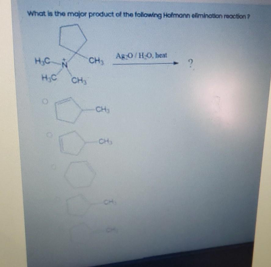 Solved What is the major product of the folowing Hofmann | Chegg.com