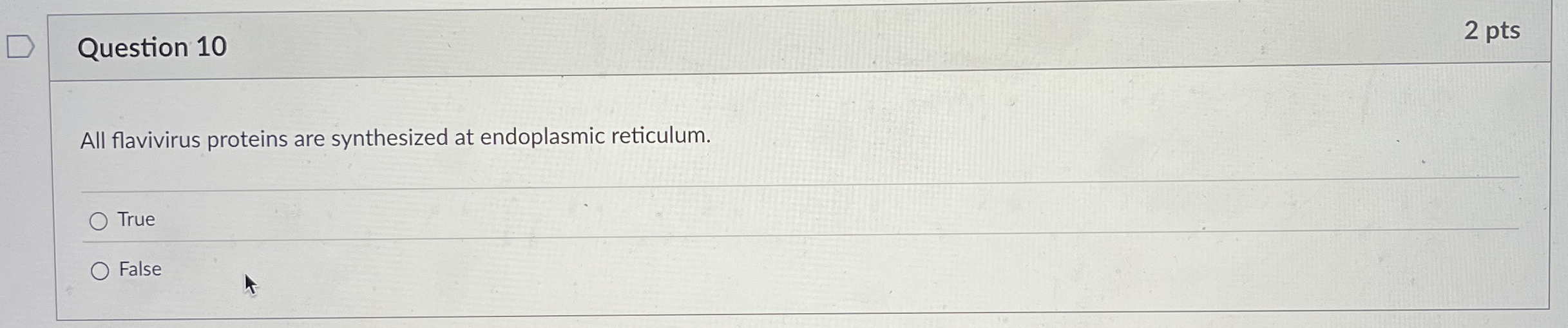Solved Question 102 ﻿ptsAll flavivirus proteins are | Chegg.com