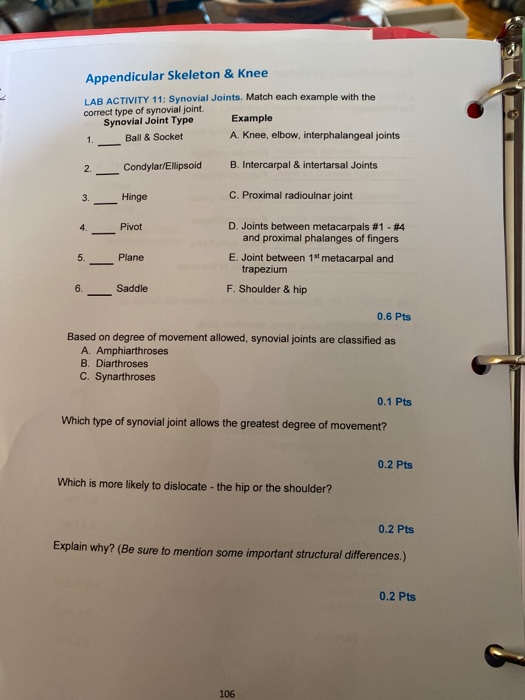 Solved Appendicular Skeleton & Knee LAB ACTIVITY 7: Male vs. | Chegg.com