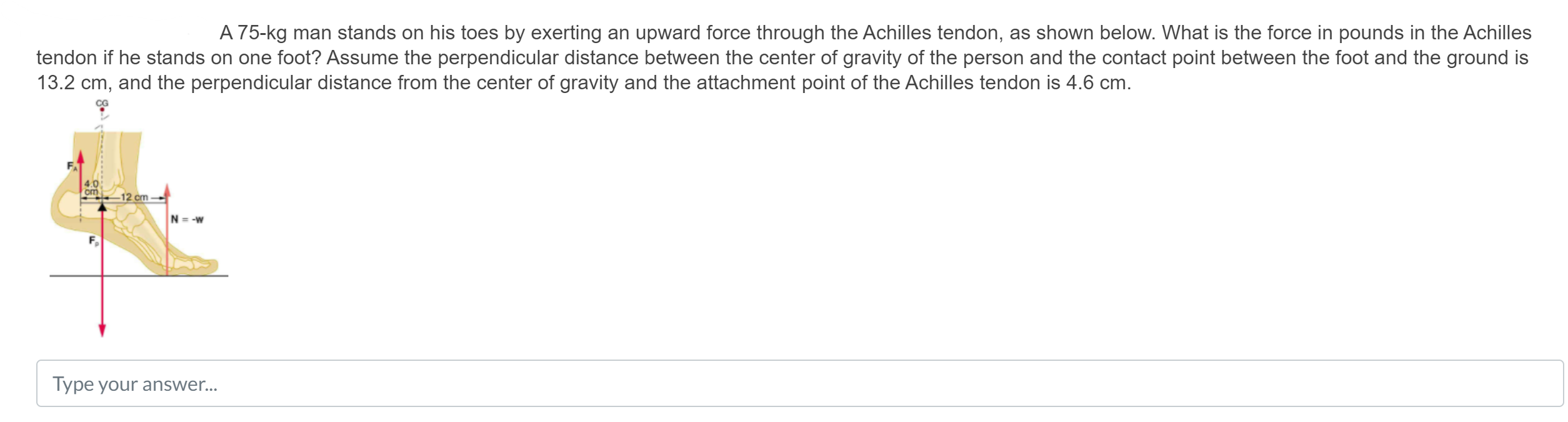 Solved A 75-kg man stands on his toes by exerting an upward | Chegg.com