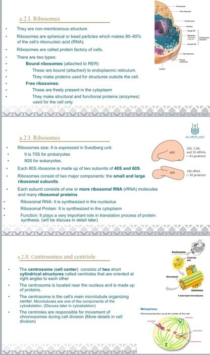 A cell consists of three major parts Nucleus | Chegg.com