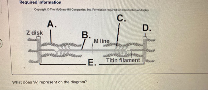Solved: Required Information Copyright The McGraw-Hill Com... | Chegg.com