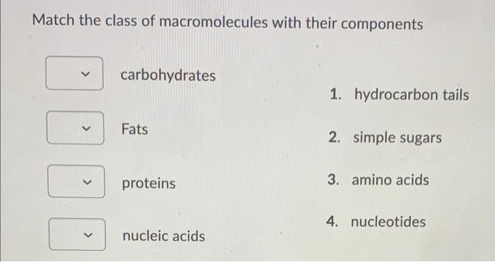 Solved Match the class of macromolecules with their | Chegg.com