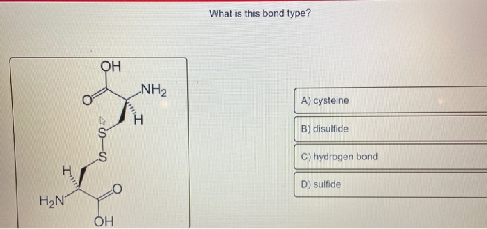 Solved What is this bond type? OH NH2 A) cysteine B) | Chegg.com