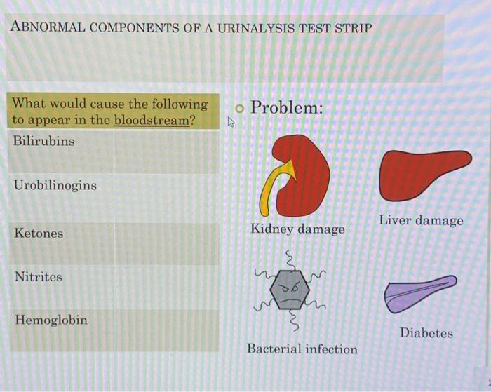 Solved ABNORMAL COMPONENTS OF A URINALYSIS TEST STRIP What | Chegg.com