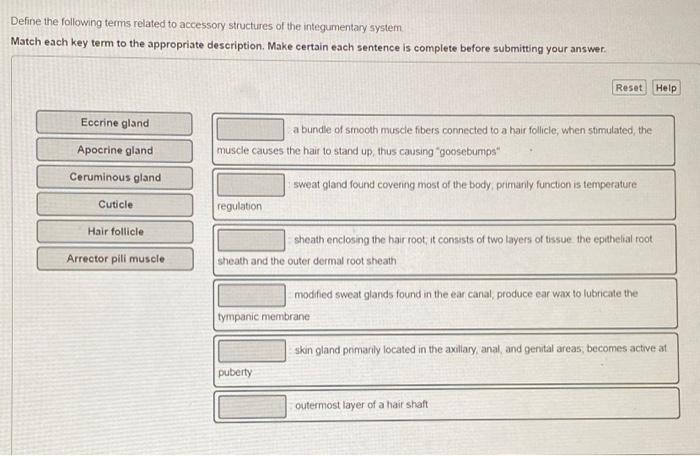 Solved Define the following terms related to accessory | Chegg.com