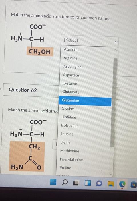 Solved Match the amino acid structure to its common name. | Chegg.com