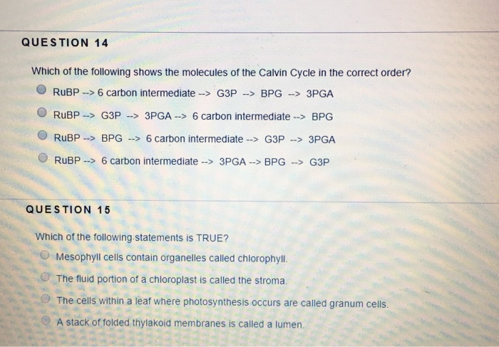 Solved QUESTION 14 Which of the following shows the | Chegg.com