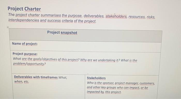 Solved Project Charter The project charter summarises the | Chegg.com