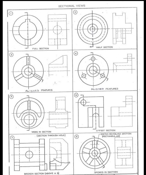 Solved On a blank sheet of paper,using freehand | Chegg.com