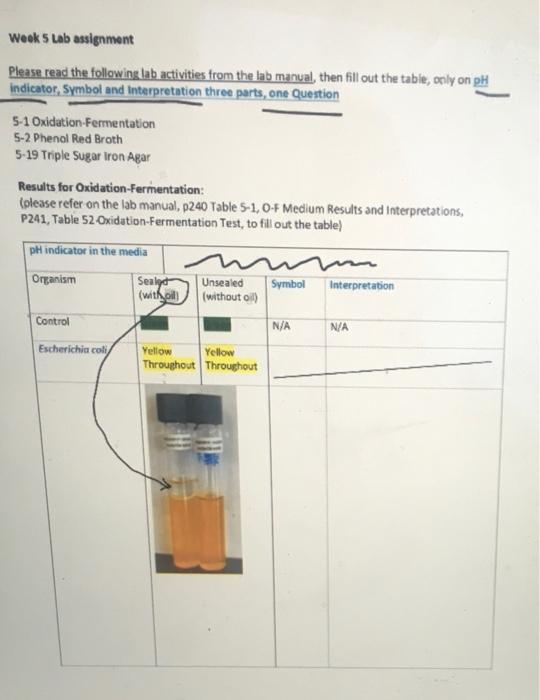 Solved Week 5 Lab assignment Please read the following lab | Chegg.com Solved Week 5 Lab assignment Please read the following lab | Chegg.com