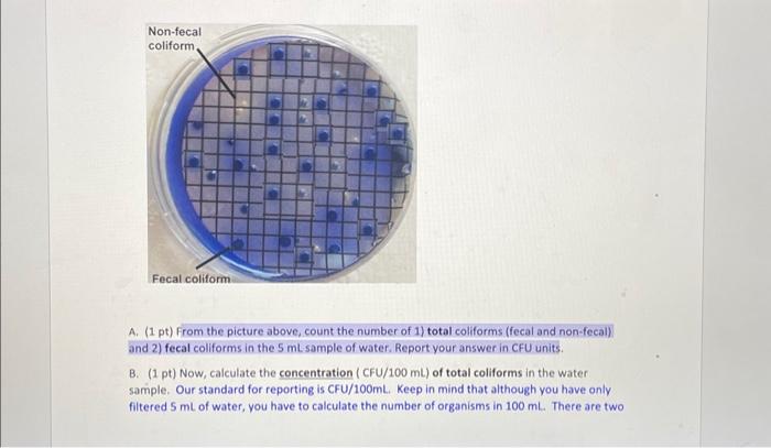 A. (1 pt) From the picture above, count the number of | Chegg.com