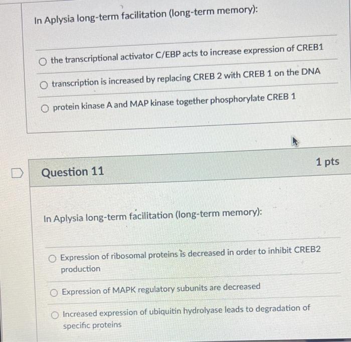 Solved In Aplysia long-term facilitation (long-term memory): | Chegg.com