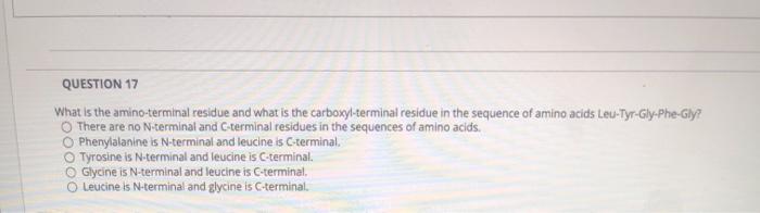 Solved QUESTION 17 What is the amino-terminal residue and | Chegg.com