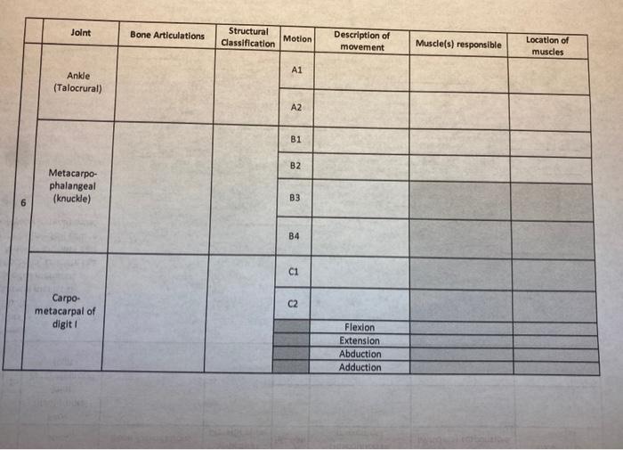 Solved Joint Bone Articulations Structural Classification | Chegg.com