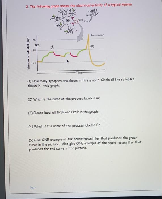 solved-2-the-following-graph-shows-the-electrical-activity-chegg