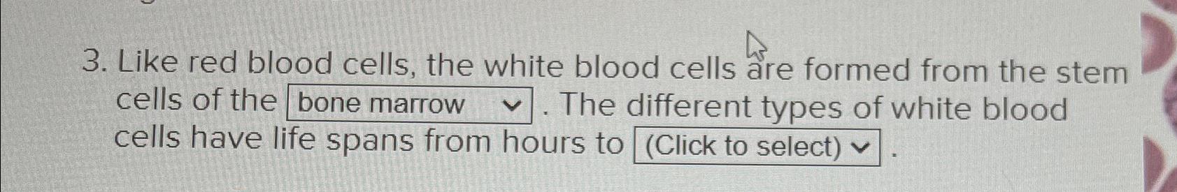 Solved Like red blood cells, the white blood cells are | Chegg.com