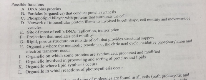 Solved Molecular Biology of Cell Assignment I Review of Cell | Chegg.com