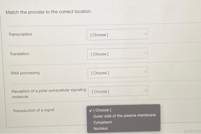 Solved Match the process to the correct location. | Chegg.com