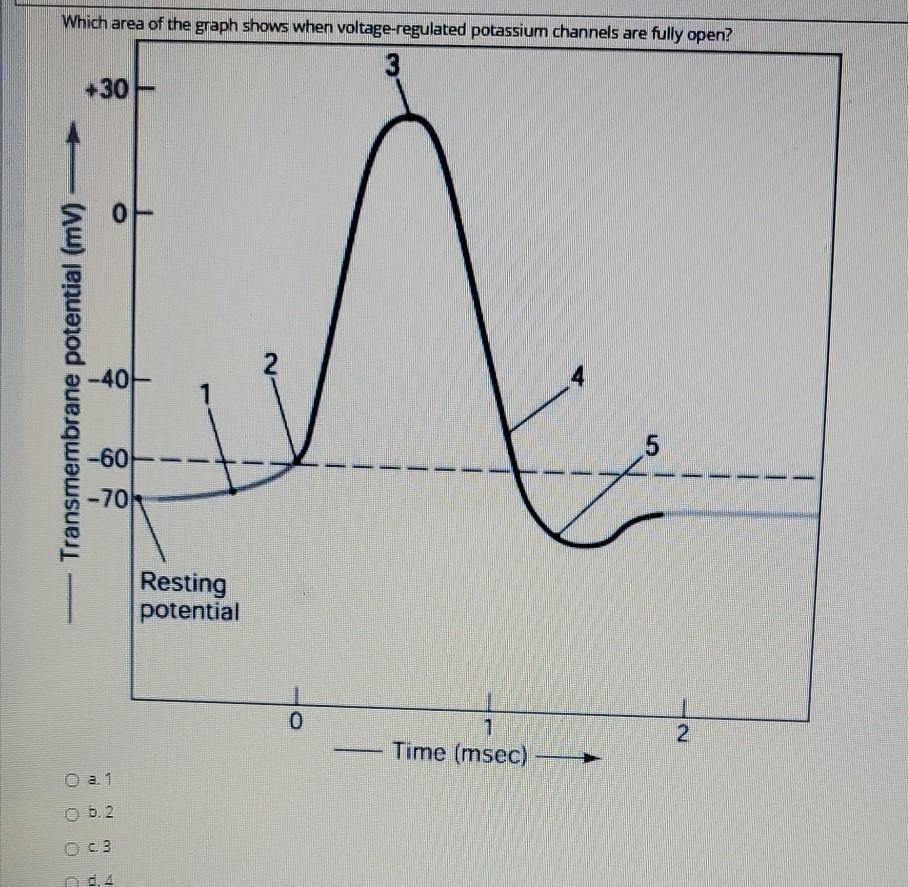 Solved QUESTION 65 Action potentials move along different | Chegg.com