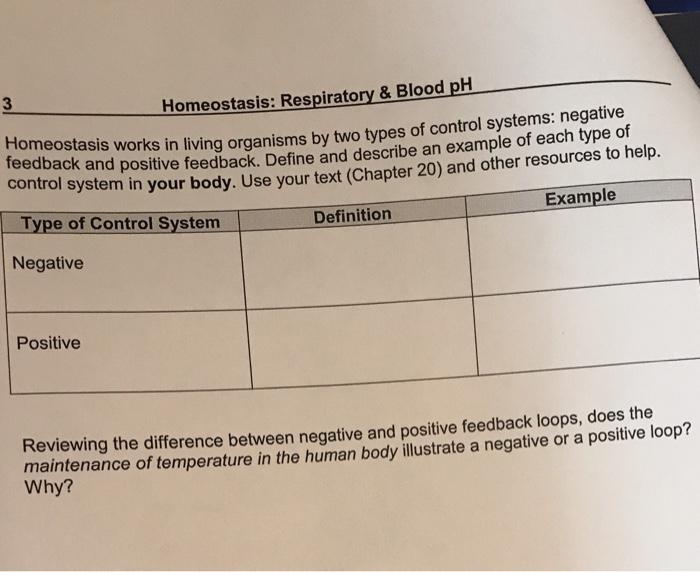 Solved 3 Homeostasis: Respiratory & Blood pH Homeostasis | Chegg.com