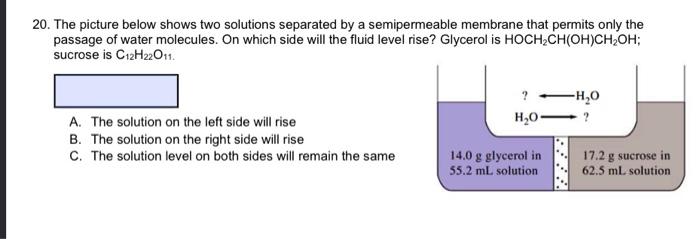 Solved 20. The picture below shows two solutions separated | Chegg.com