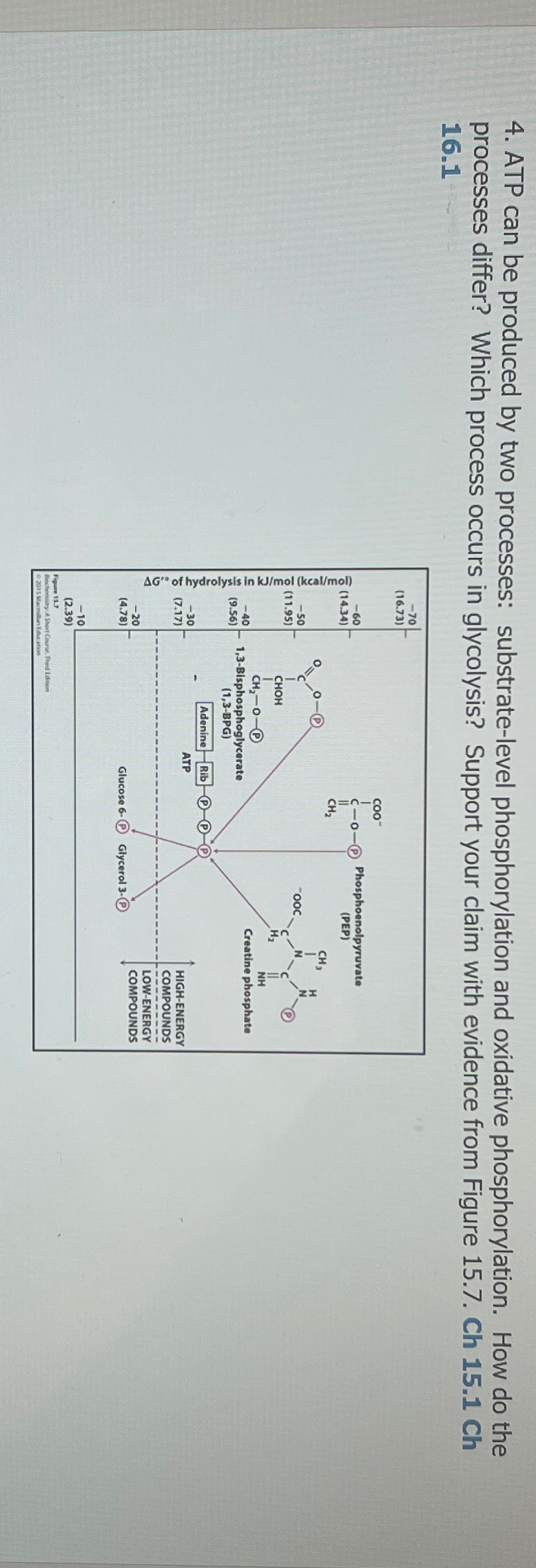 Solved ATP can be produced by two processes: substrate-level | Chegg.com