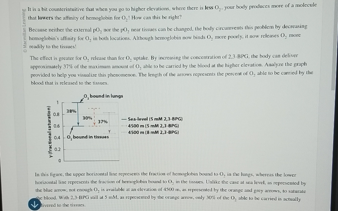 Solved It is a bit counterintuitive that when you go to | Chegg.com