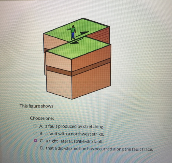 Solved: This Figure Shows Choose One: A. A Fault Produced ... | Chegg.com