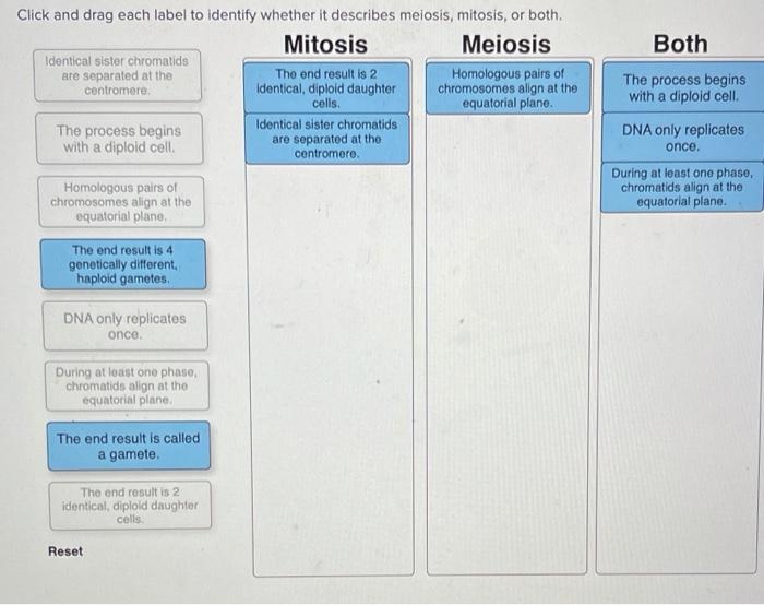 Solved Categorize the following male reproductive structures | Chegg.com