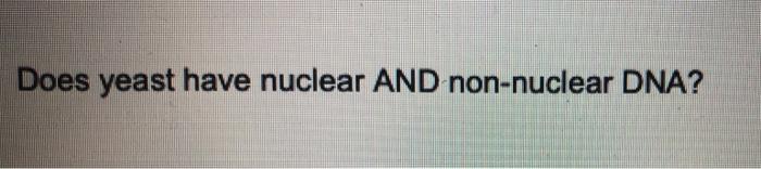 Solved Does yeast have nuclear AND non-nuclear DNA? | Chegg.com