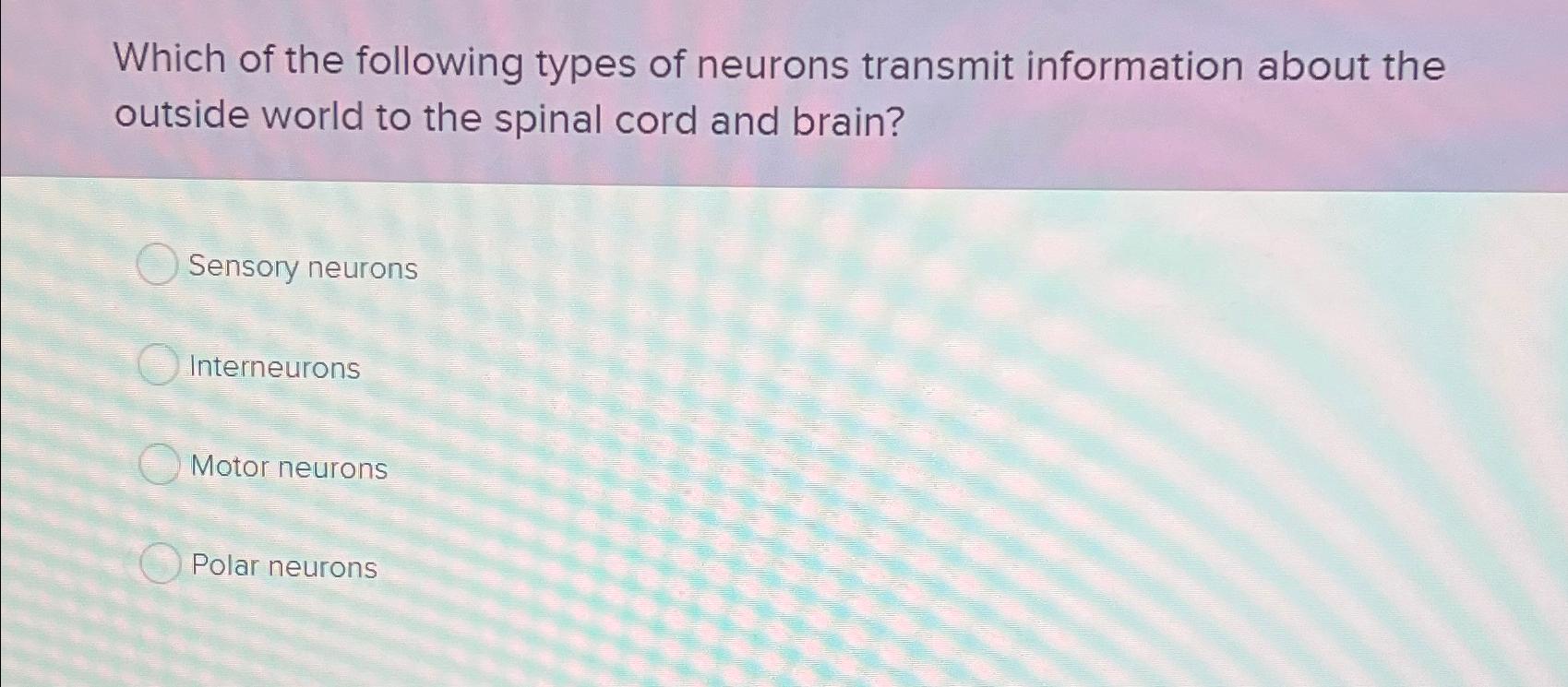 Solved Which of the following types of neurons transmit | Chegg.com