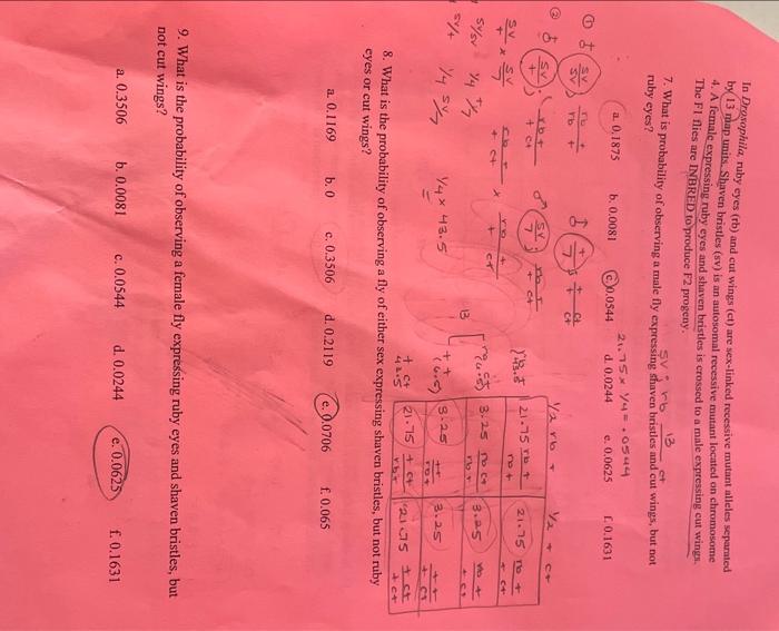 Solved the correct answers are circled but im not sure how | Chegg.com