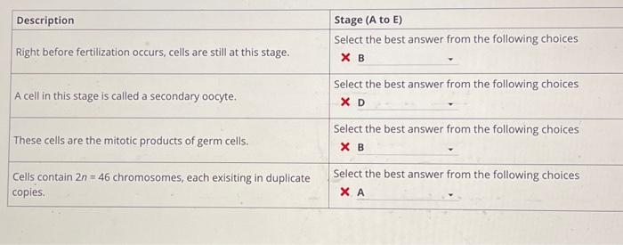 Solved Stage A IIII Stage B Stage C Stage D Stage E (11) | Chegg.com