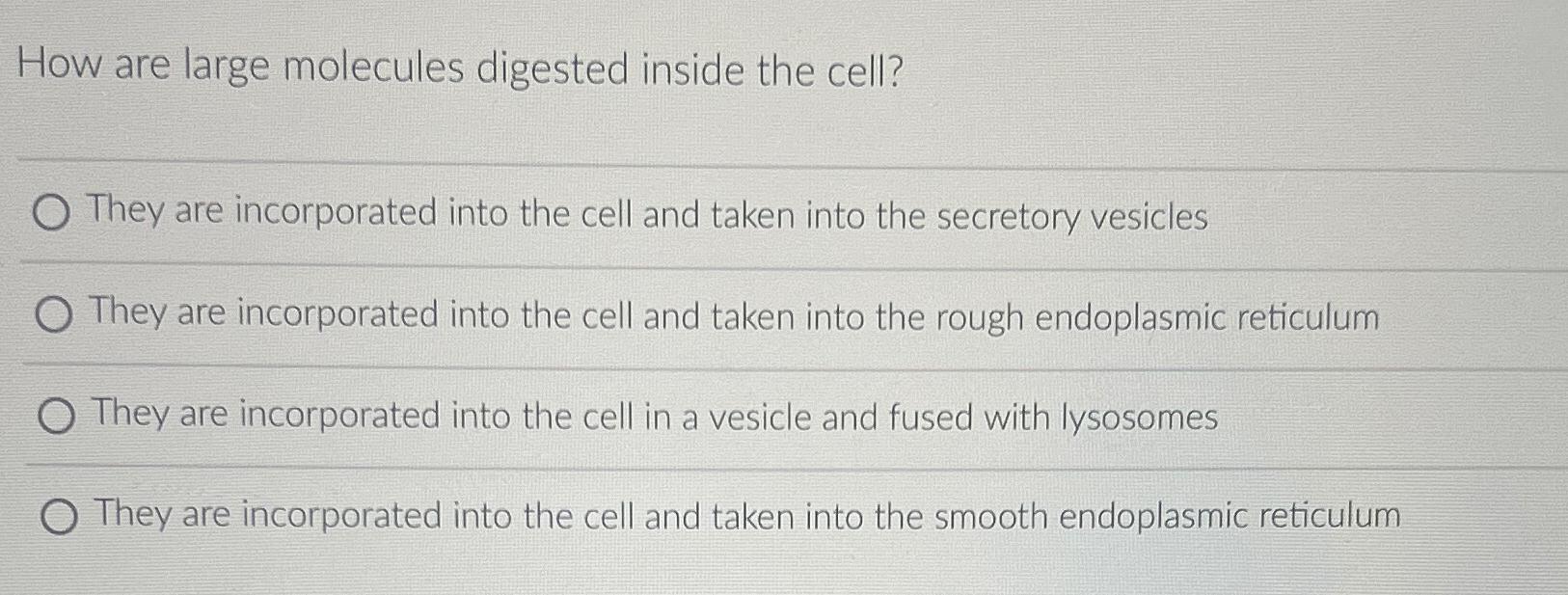 Solved How are large molecules digested inside the cell?They | Chegg.com