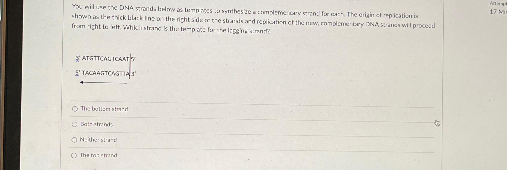 Solved You will use the DNA strands below as templates to | Chegg.com