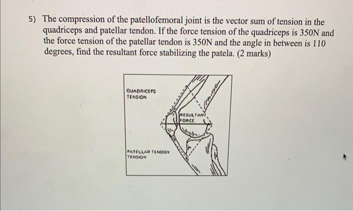 Solved 5) The compression of the patellofemoral joint is the | Chegg.com