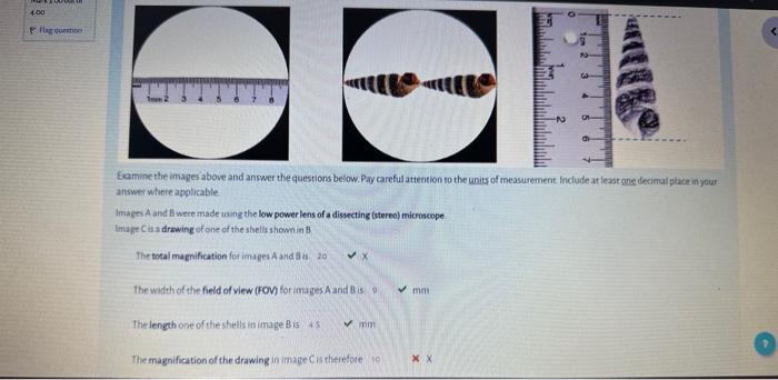 Solved Eamine the images above and answer the questions | Chegg.com