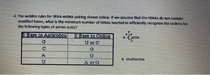 Solved 4. The wobble rules for tRNA-MRNA pairing shown | Chegg.com