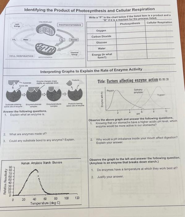 Solved QUICK REVIEW: CELL UNIT Identifying Different Types | Chegg.com