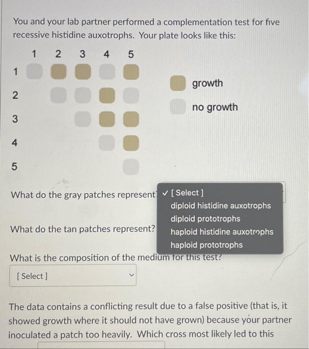 Solved You and your lab partner performed a complementation | Chegg.com