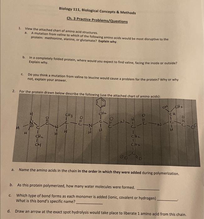 Solved Biology 111, Biological Concepts \& Methods Ch. 3 | Chegg.com